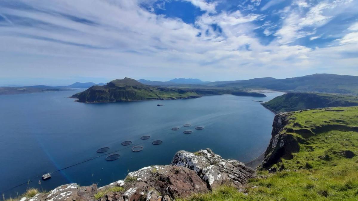 Blue Dreams and Green Stories: Summer Travel in Scotland – Stories of ...